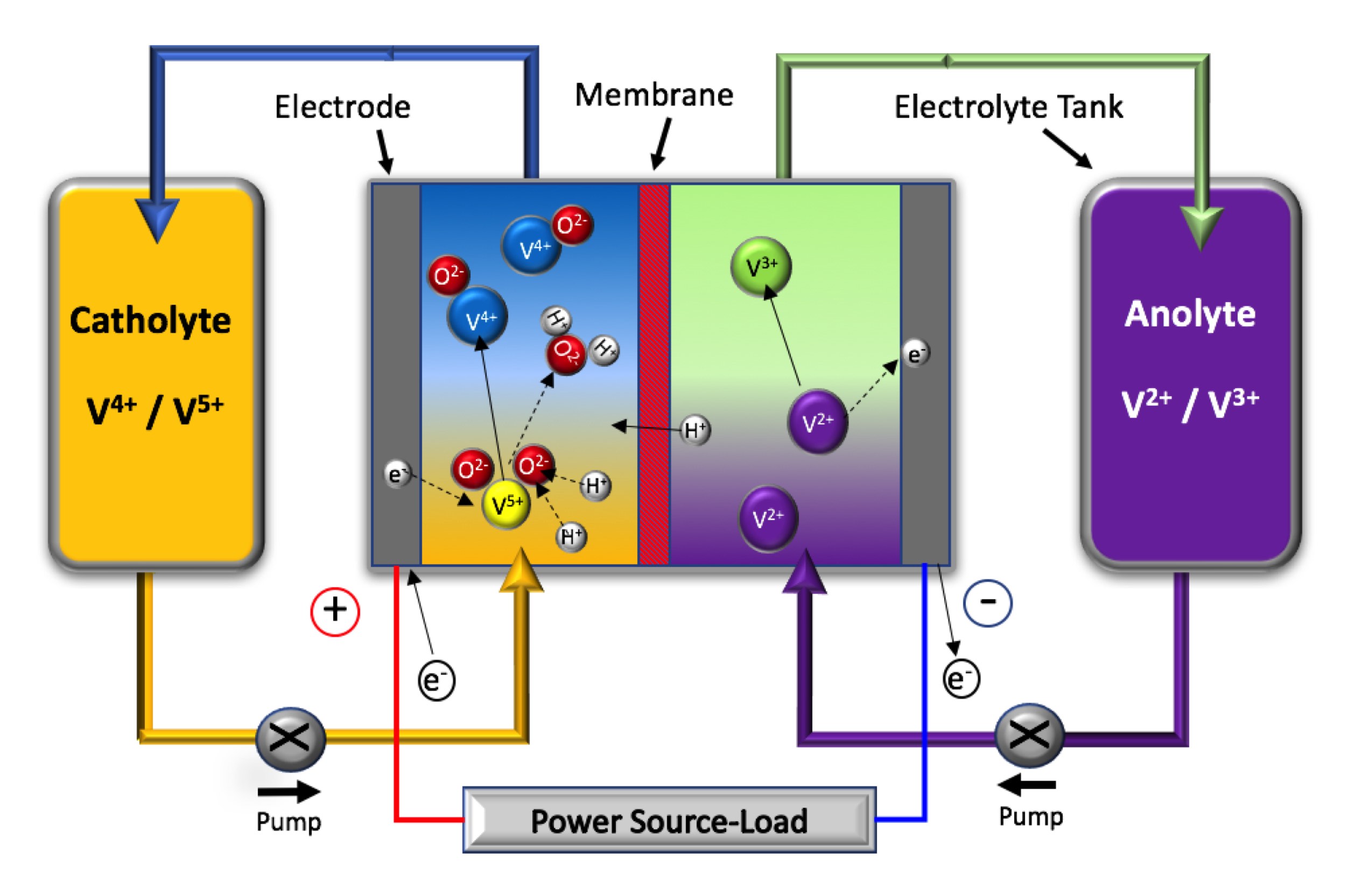 Research Nockemann Lab Research Nockemann Lab